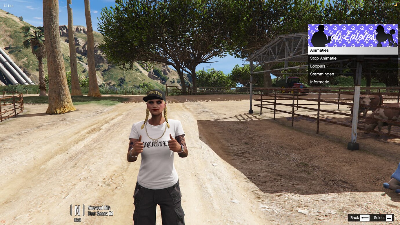 dpEmotes 1.7 (390+ emotes) Walkingstyles, Keybinding, Dances ...