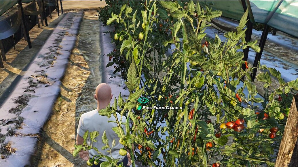 [QBCore] Simplefarming - FiveM Releases - Cfx.re Community