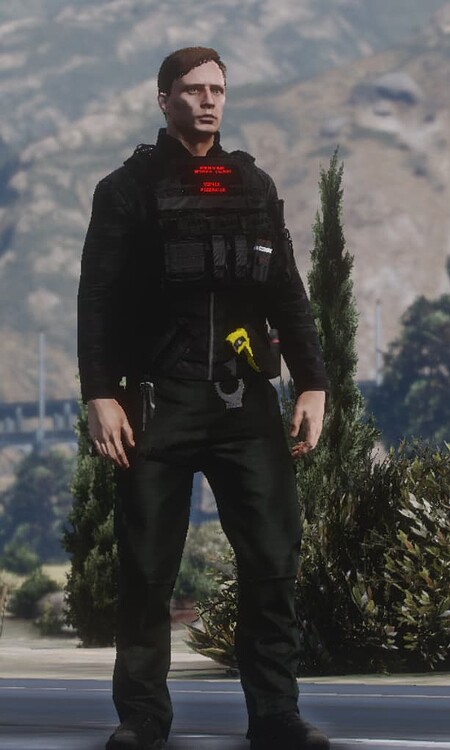 Staff Team Vest - FiveM Releases - Cfx.re Community