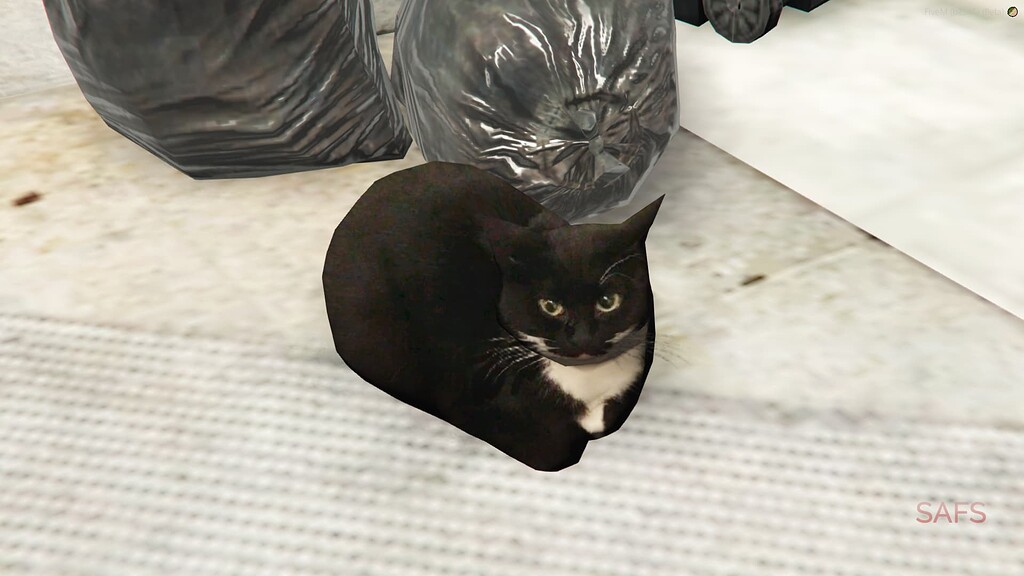 [Free] Dingus Cat Prop - FiveM Releases - Cfx.re Community