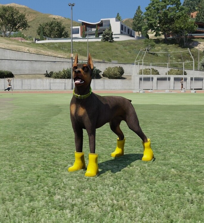 cDev Pet Companionship System (Pet Script) - Page 3 - FiveM Releases ...