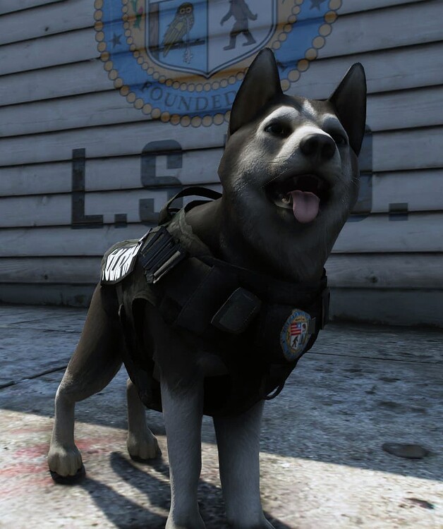 [PAID] FUTURE PUPPY GERMAN SHEPHERD K9 [ped] [dog] [pets] - FiveM ...