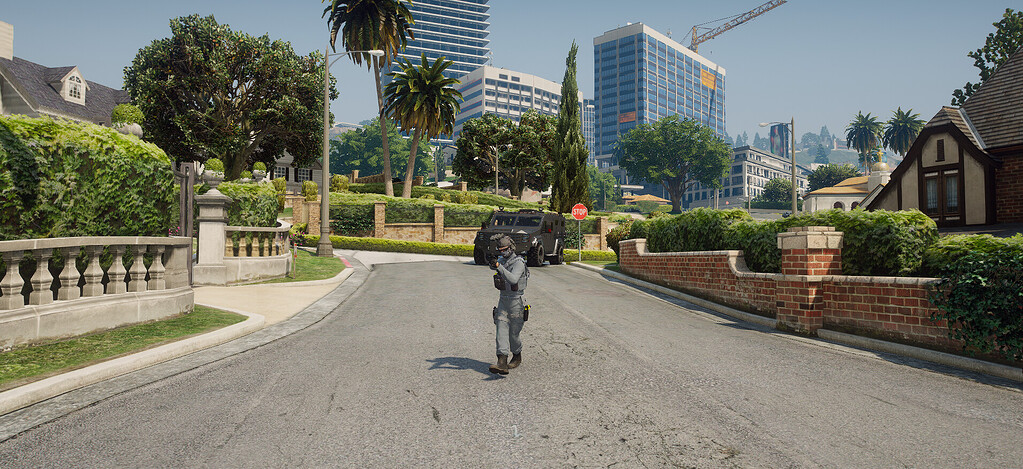 [RELEASE] [FREE] Dutch armed police SWAT outfit (DSI) - FiveM Releases ...