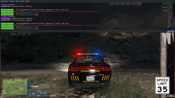 [FREE] Custom License Plates and Patterns - Page 6 - FiveM Releases ...