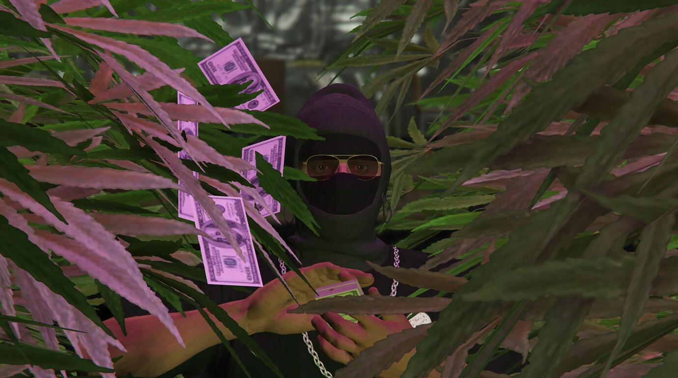 Weed - FiveM Snapmatic - Cfx.re Community