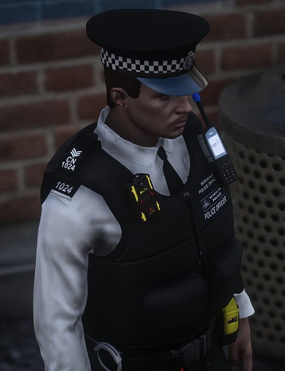 Metropolitan Police FivePD | British Policing | Looking For Staff ...