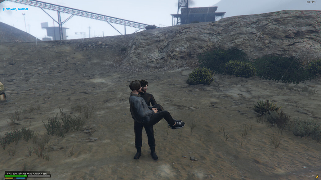 [Release] 4 Carrying Types - FiveM Releases - Cfx.re Community