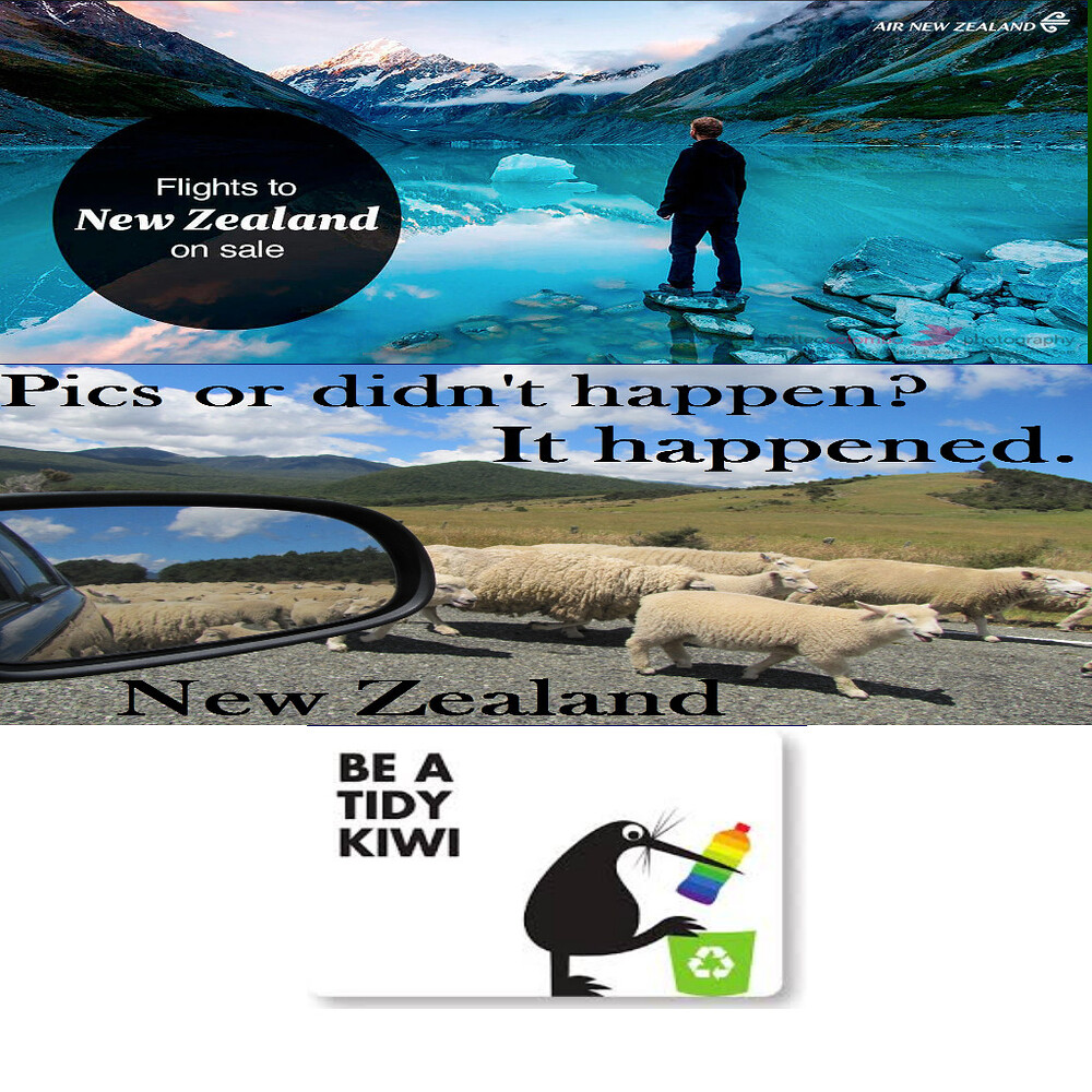 NZ airport signs for VICE CITY - FiveM Releases - Cfx.re Community