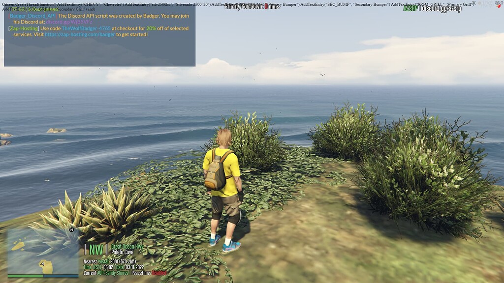 FiveM Text error - Resource Support - Cfx.re Community