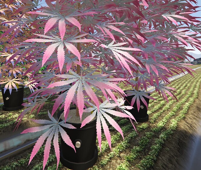 [PROP][PAID] Shuffler's GRADIENT Weed Plants! - FiveM Releases - Cfx.re ...