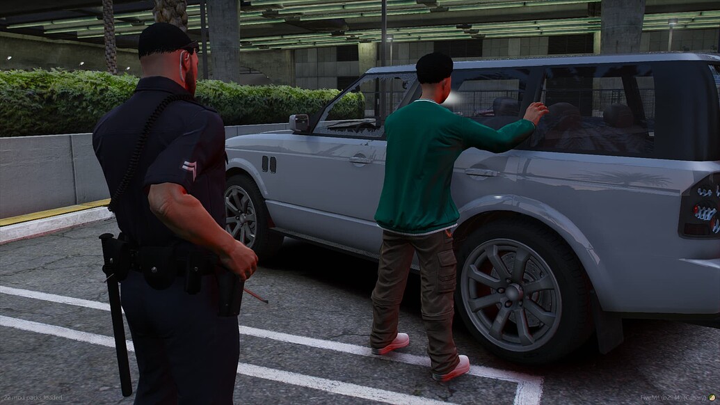 [Paid] Advanced Police Animations - FiveM Releases - Cfx.re Community