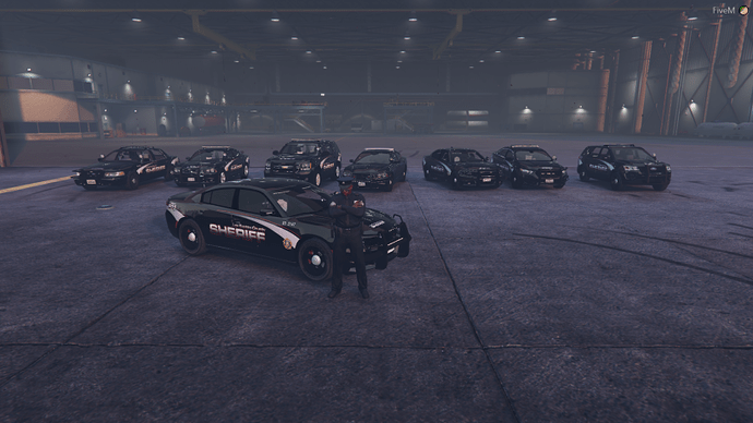 Los Santos Underground Roleplay - True RP - Public Police - Ingame CAD ...