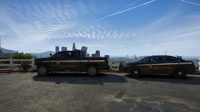 San Andreas State Roleplay (SASRP) | CAD/MDT | Open Staff Positions ...