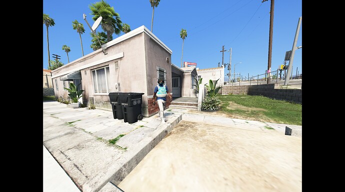 Davis - FiveM Snapmatic - Cfx.re Community