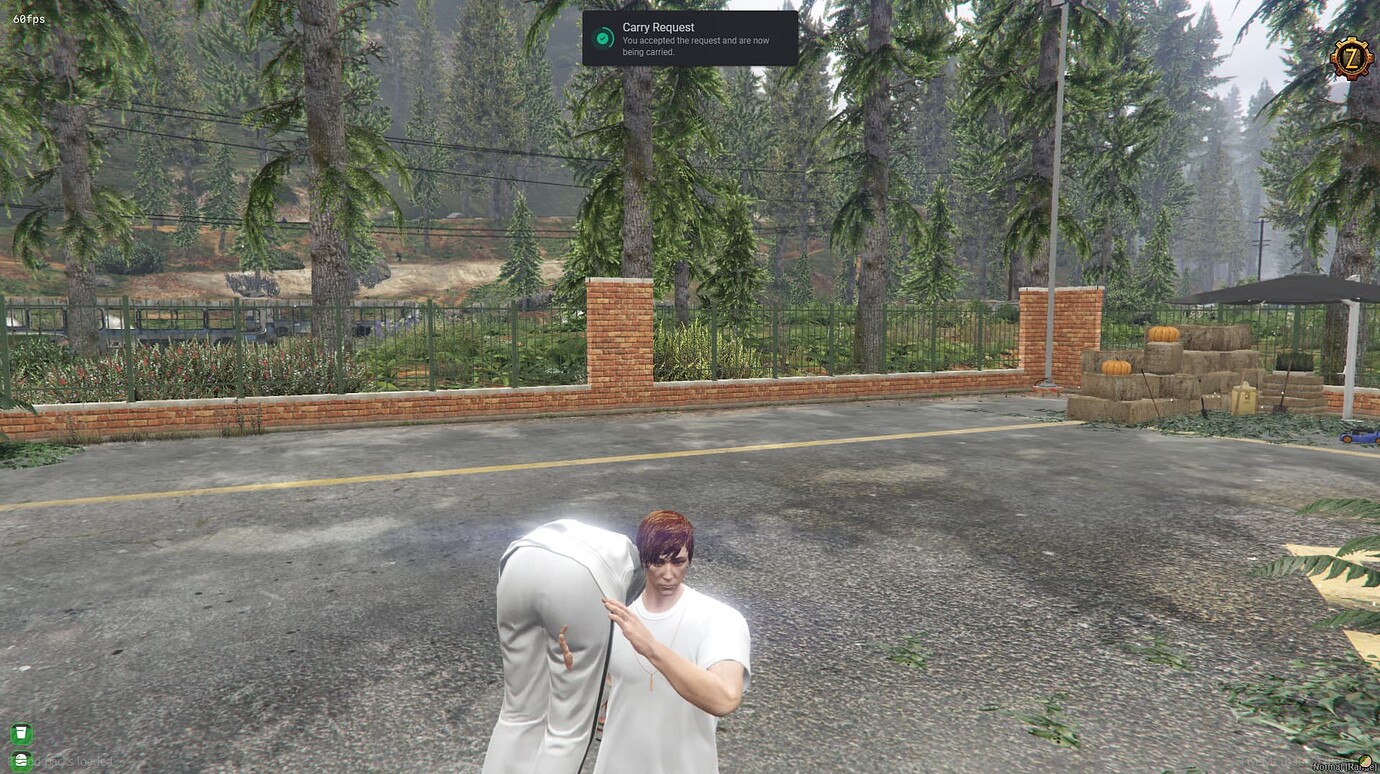 [FREE] GH Carry - FiveM Releases - Cfx.re Community