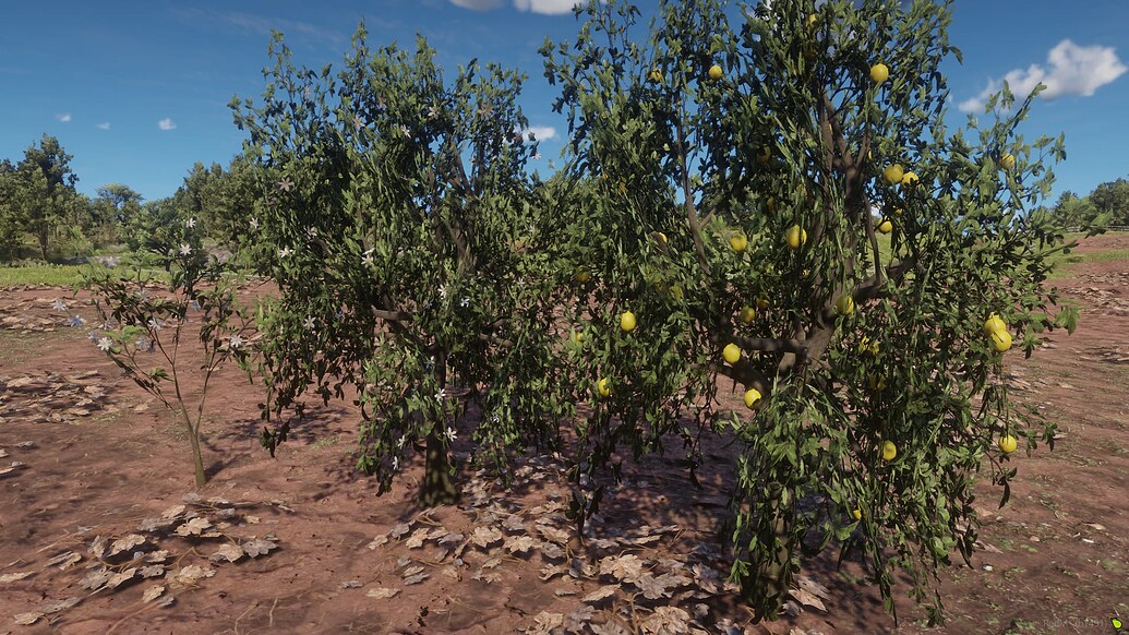 Plants Package 01 | Fruit Trees - RedM Releases - Cfx.re Community