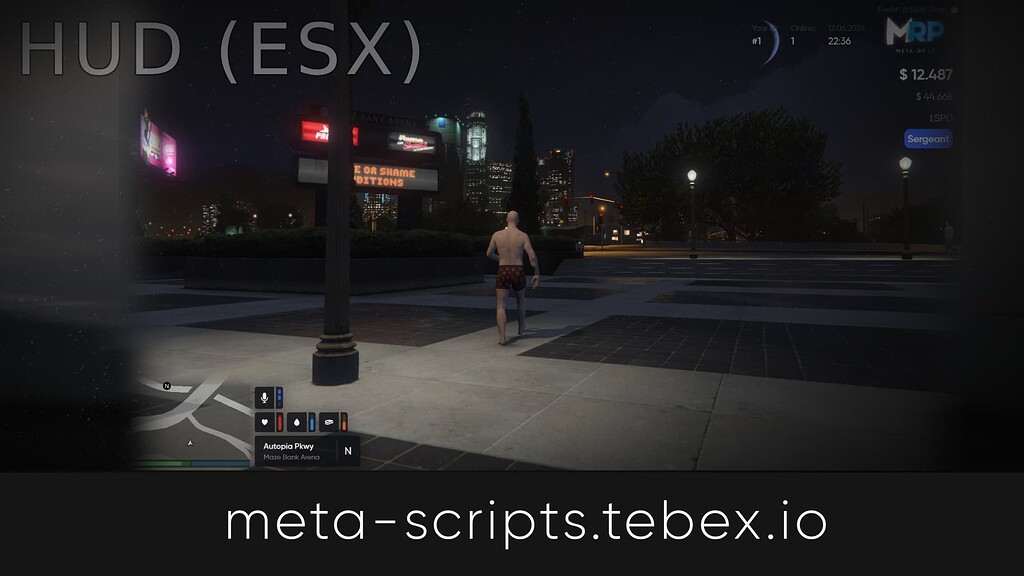 [PAID] [ESX] Meta-Scripts HUD - FiveM Releases - Cfx.re Community