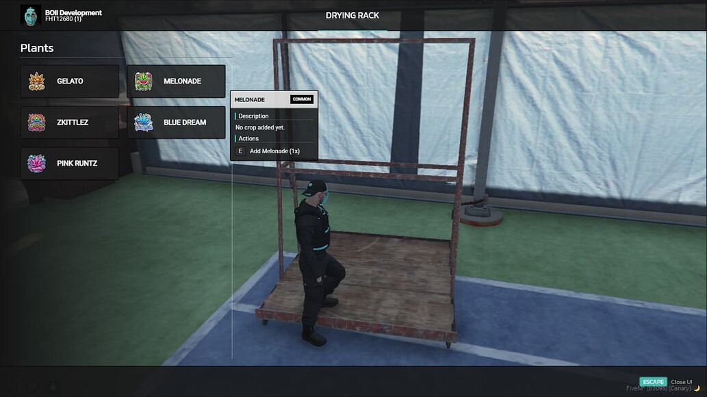 Weed Drying Racks. Done Properly. - FiveM Releases - Cfx.re Community