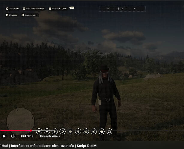Nyks HUD & Pause Menu | Advanced Status, Metabolism & Fully ...