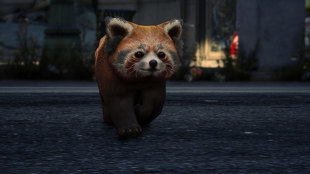 [Ped] Red panda - FiveM Releases - Cfx.re Community
