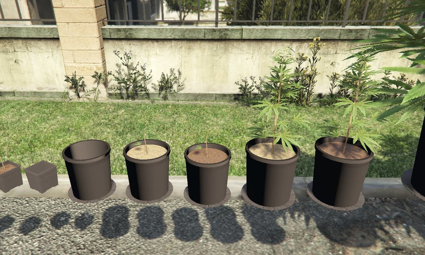 Custom weed props - FiveM Releases - Cfx.re Community