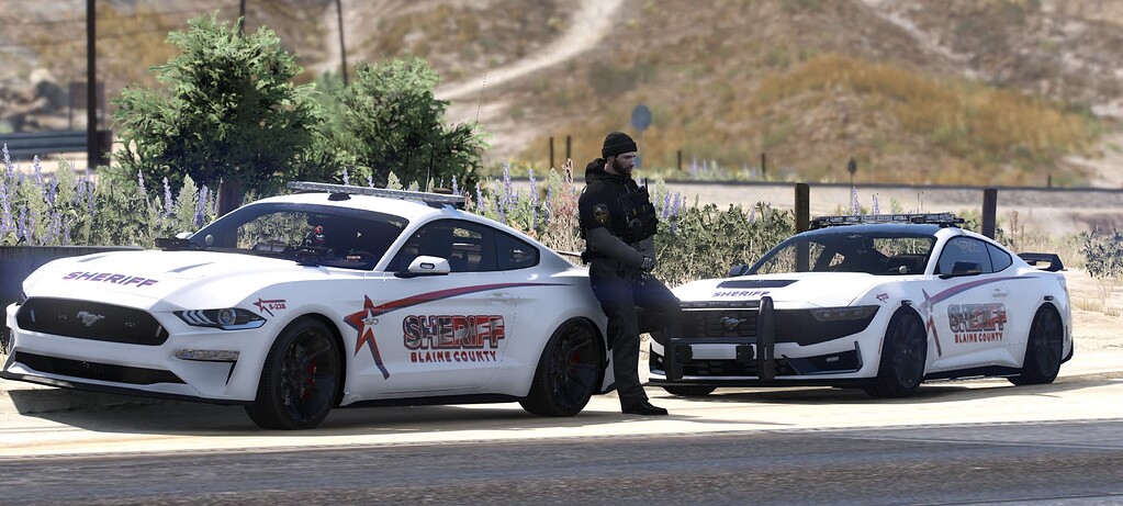 True North RolePlay | vMenu | Anyone can be a cop | streamer friendly ...