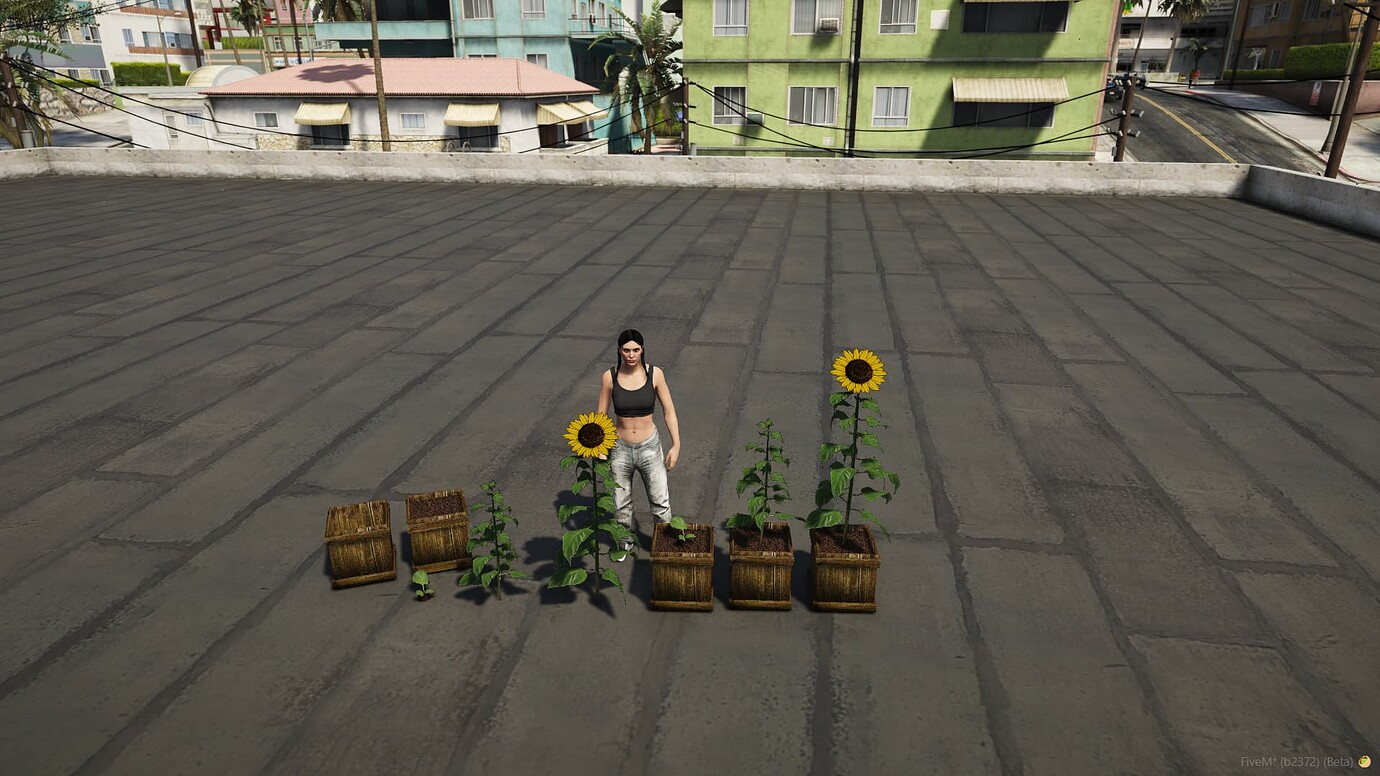 [PROPS] [PAID] Sunflowers plant - FiveM Releases - Cfx.re Community