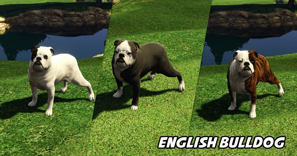 English Bulldog - Addon Dog Ped - FiveM Releases - Cfx.re Community