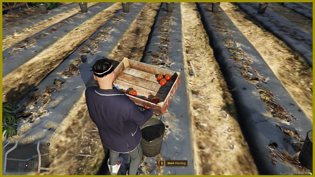 [ESX/QB] Plant Farming & Shop UI - FiveM Releases - Cfx.re Community