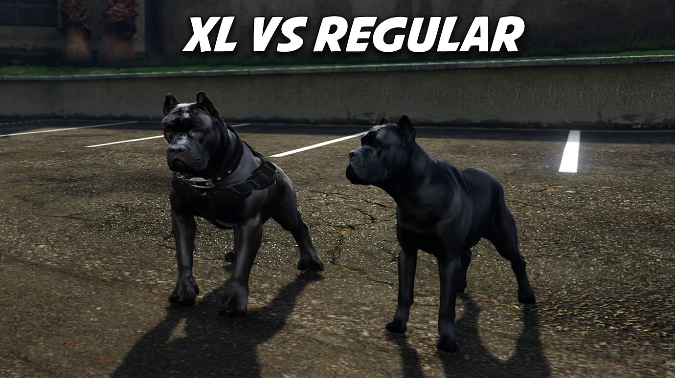 Cane Corso (Regular + XL) - Addon Dog Ped - FiveM Releases - Cfx.re ...