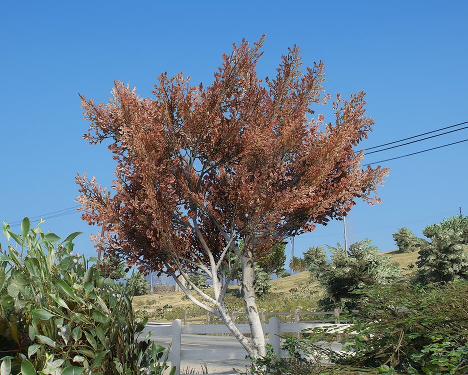[Paid] Vegetation Overhaul - FiveM Releases - Cfx.re Community
