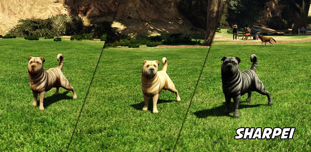 Sharpei - Addon Dog Ped - FiveM Releases - Cfx.re Community