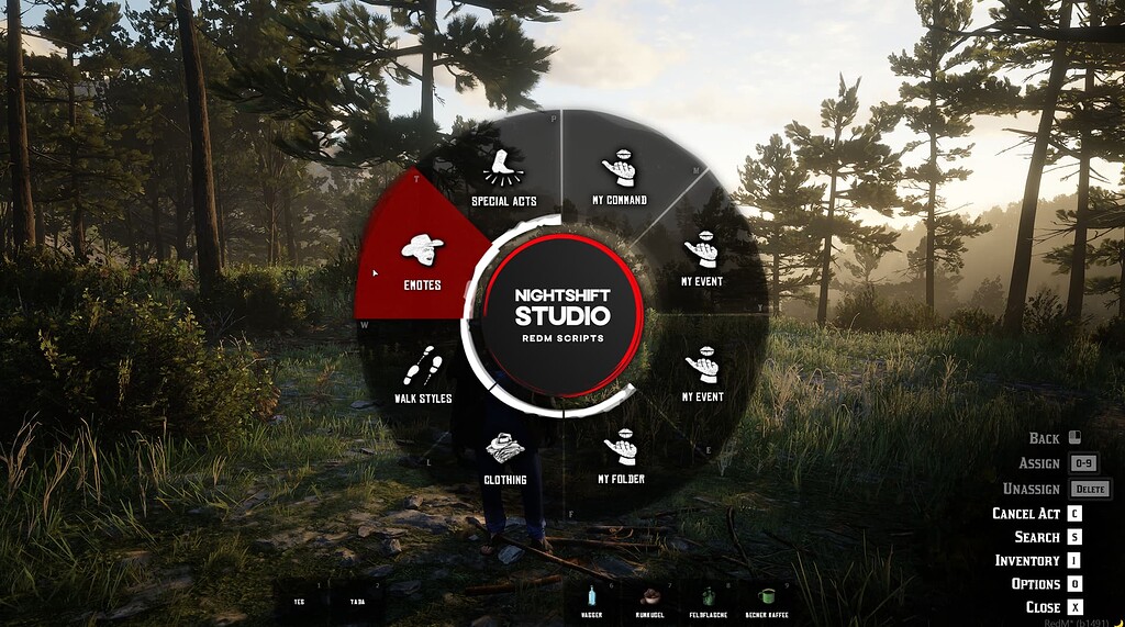 [PAID][VORP] nss_emotes (Radial Menu) inkl. Hotbar - RedM Releases ...