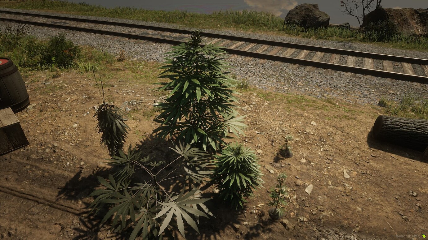[PAID] [PROPS] Drugs props package (weed) - RedM Releases - Cfx.re ...