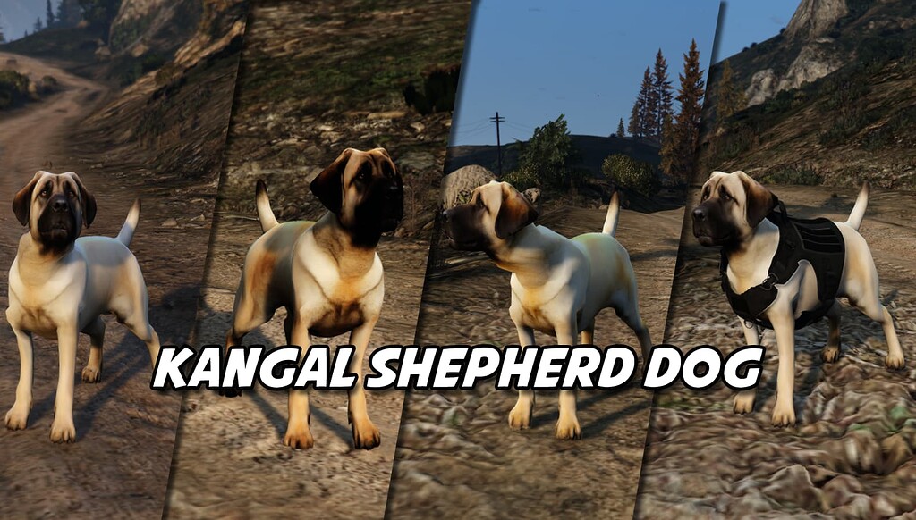 Kangal Shepherd - Add-on Dog Ped - FiveM Releases - Cfx.re Community