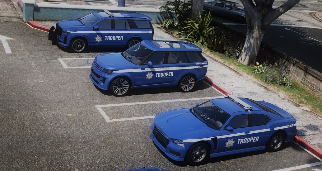 [PAID] Comprehensive Law Enforcement Vehicle Pack with Callsigns (Lore ...