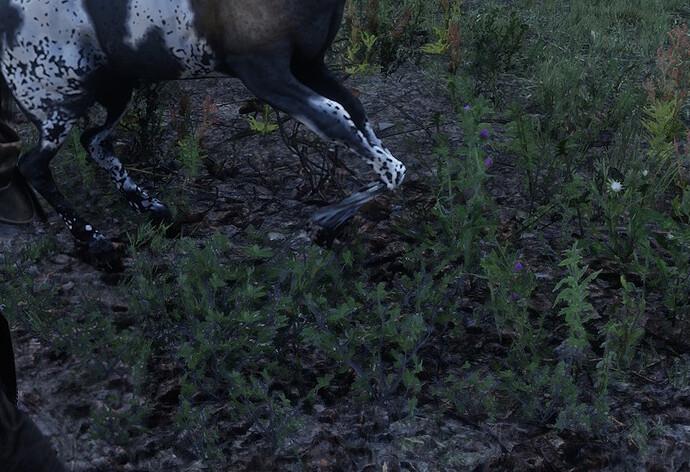 How To Add a New Custom Horse - Page 2 - Modding Tutorials - Cfx.re Community