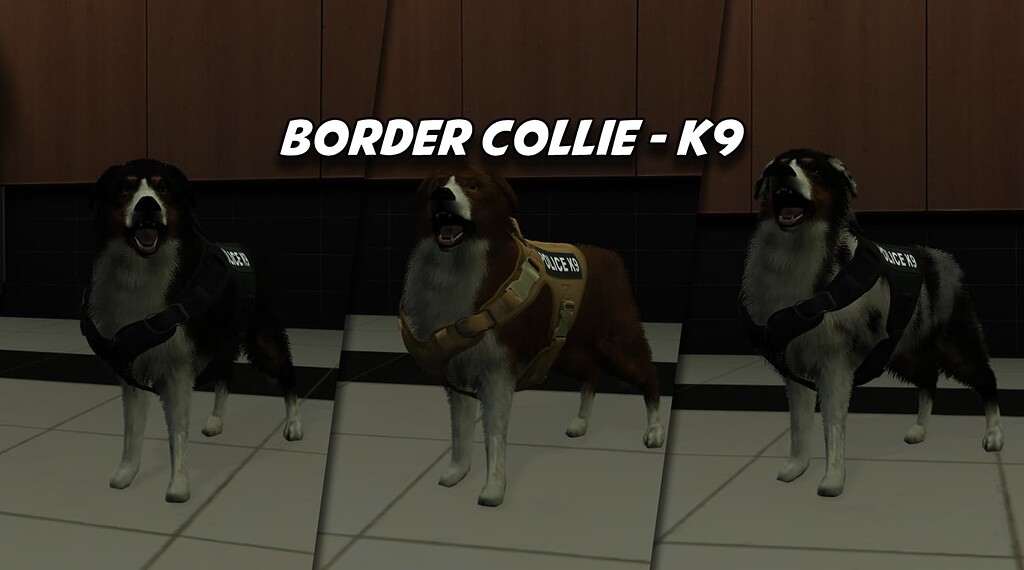 K9 Border Collie - Addon Dog Ped - FiveM Releases - Cfx.re Community