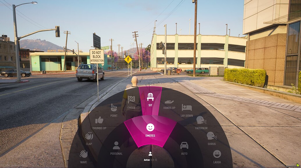 Dynamic Radial Menu - FiveM Releases - Cfx.re Community