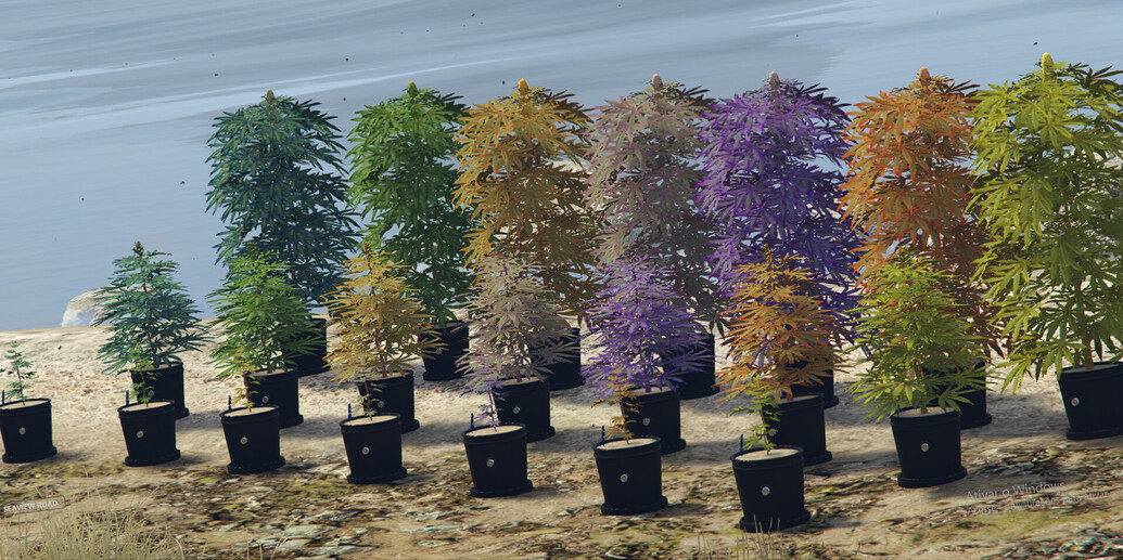 Weed Props Plants Pack (21 Variations) – Optimized - FiveM Releases ...
