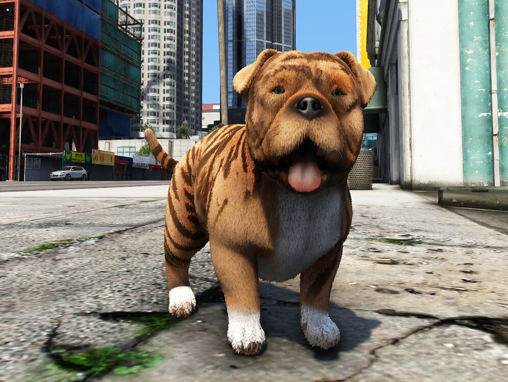 [PAID] FUTURE Exotic Bully [PED] [DOG] [PETS] - FiveM Releases - Cfx.re Community