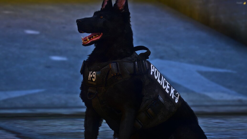 [PED] [PAID] German Shepherd K9 - FiveM Releases - Cfx.re Community