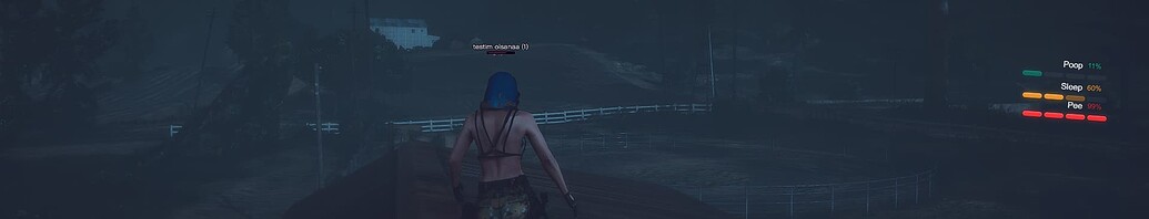 Basic Needs [Poop / Pee / Sleep] - FiveM Releases - Cfx.re Community