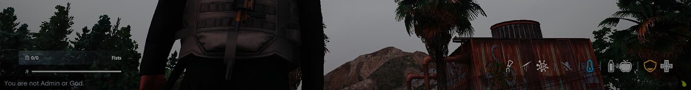 Survival Hud - FiveM Releases - Cfx.re Community