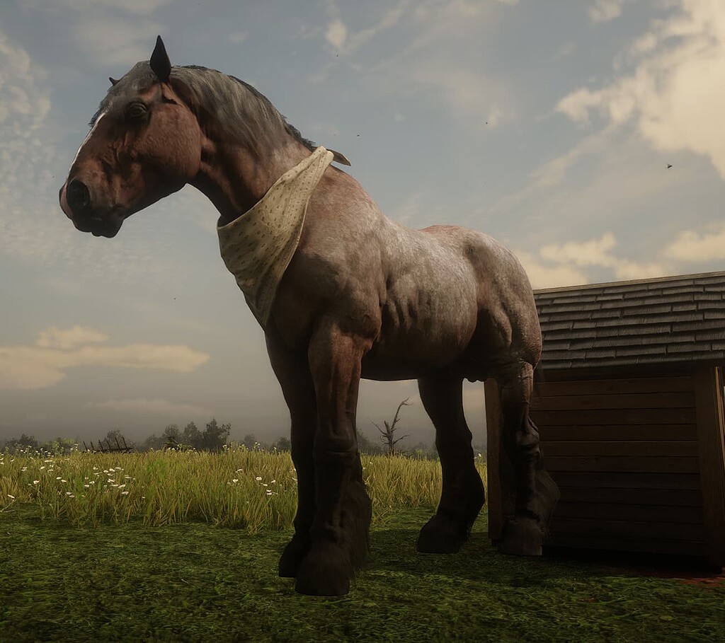 Horse Bandanas - RedM Releases - Cfx.re Community