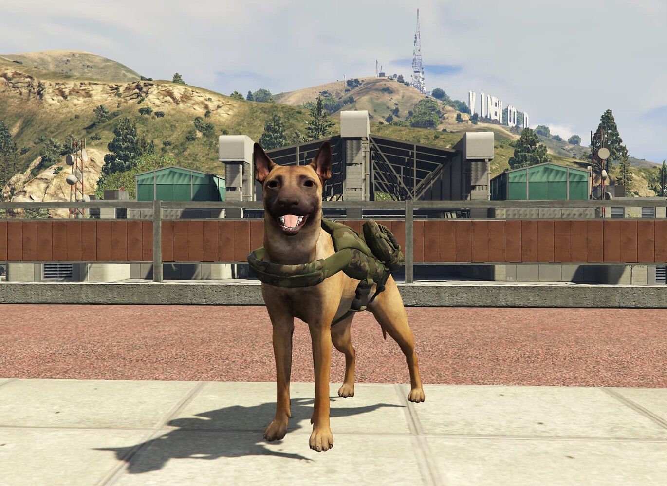 [PAID] Belgian Shepherd Police Dog - FiveM Releases - Cfx.re Community