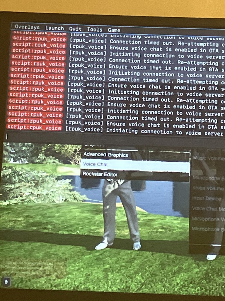 Voice connection failed to connect to server - FiveM Client Support ...