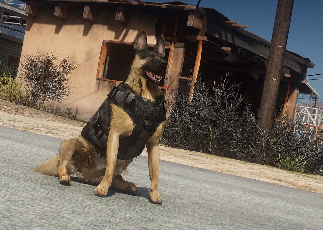 [PED] [PAID] German Shepherd K9 - FiveM Releases - Cfx.re Community
