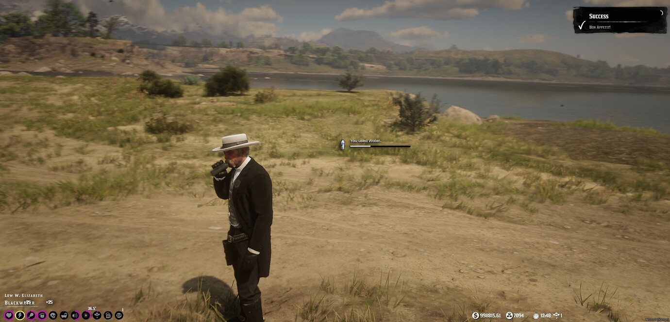 Premium Hud | Metabolism - RedM Releases - Cfx.re Community