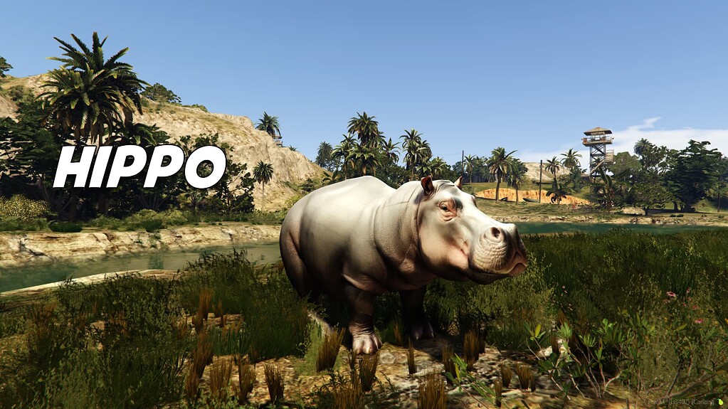Hippo - Addon Animal Ped - FiveM Releases - Cfx.re Community